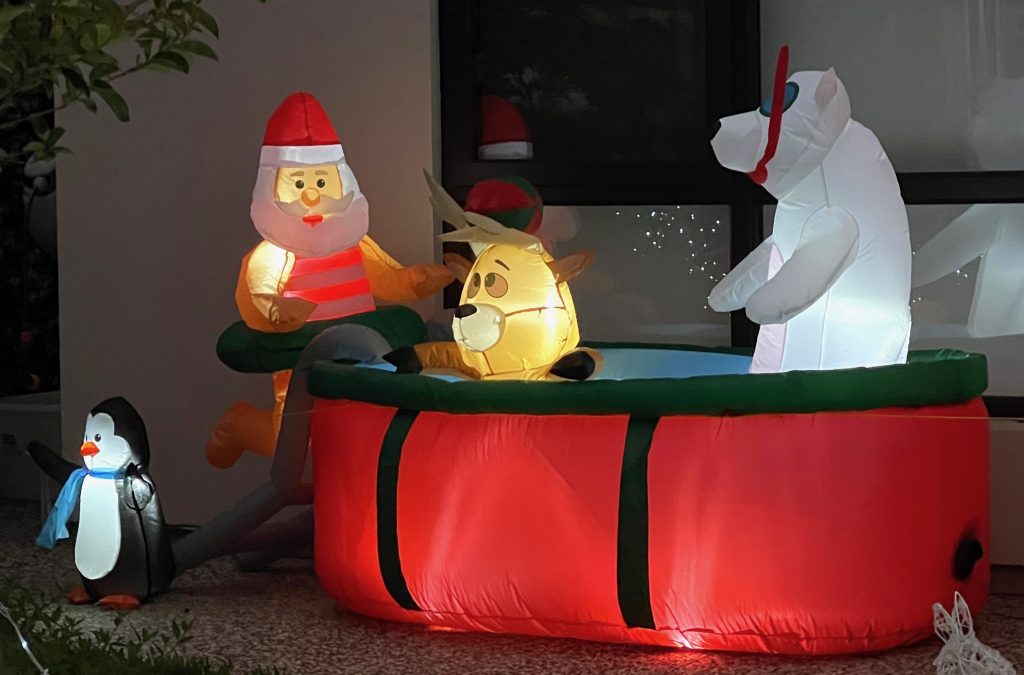 My 2021 Christmas display and how I installed it without assistance