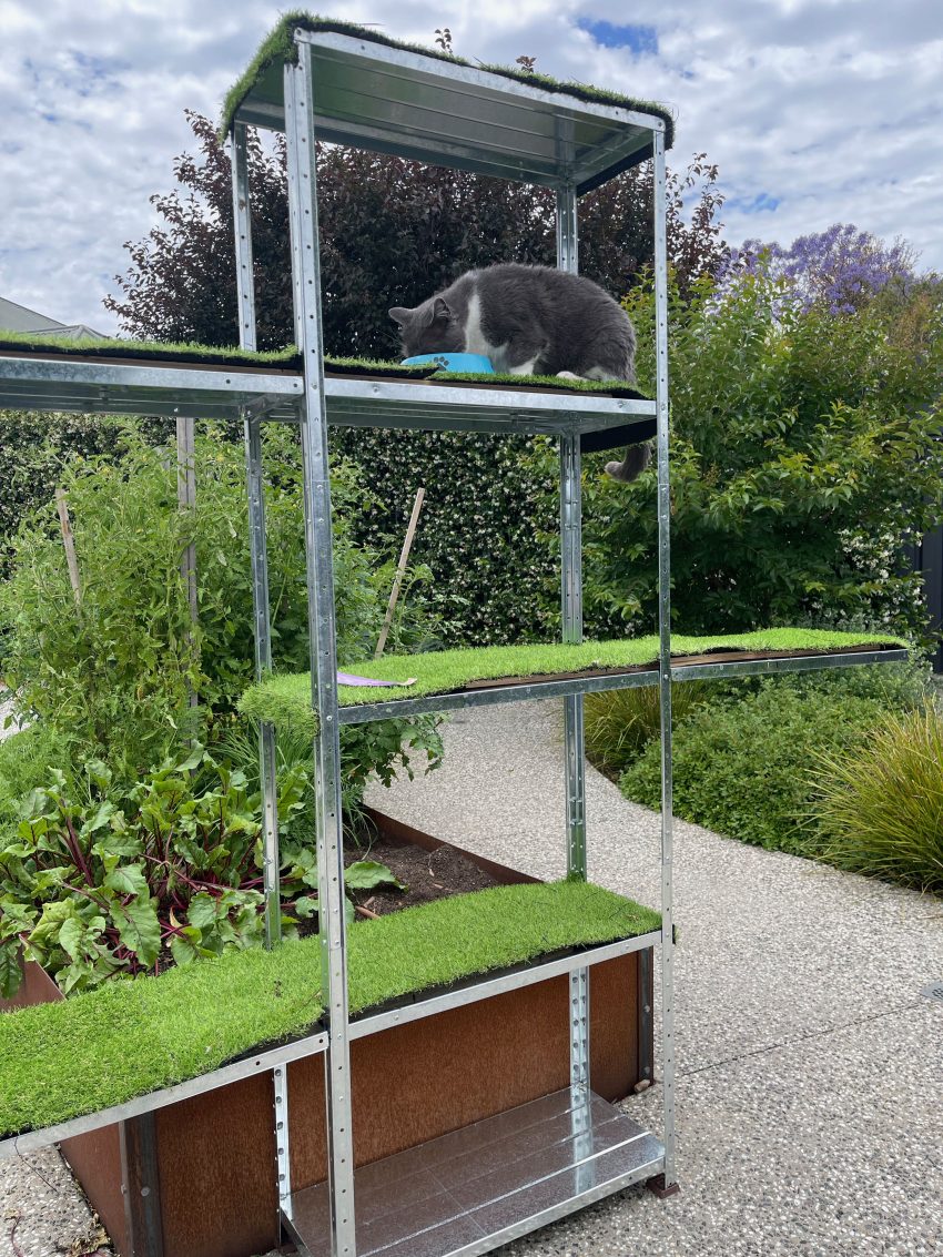 Build a cat tower that is easy and inexpensive